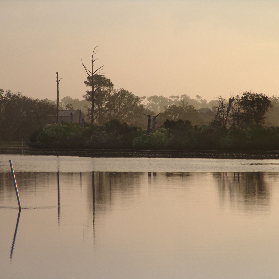 Community | Pontchartrain Conservancy